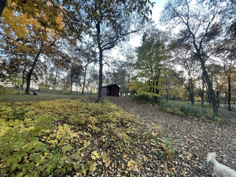 Photo Gallery - The Village of Lannon